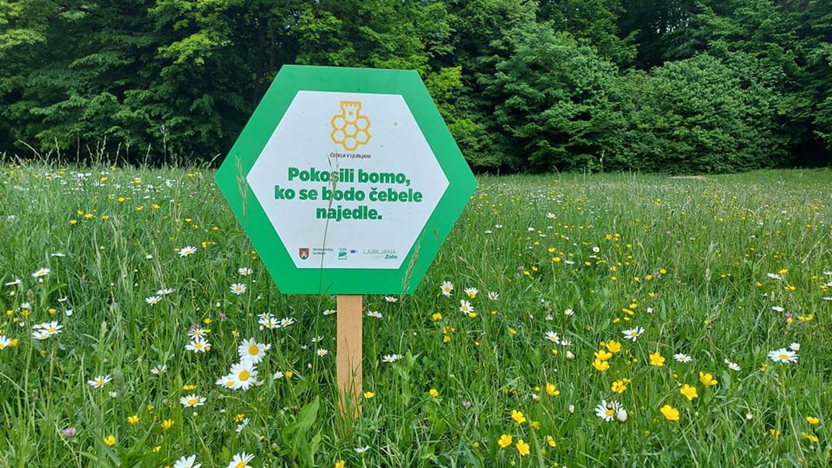 Krajinski park Tivoli, Rožnik in Šišenski Hrib